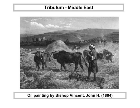 Heritage Baptist Church | “Two Events That Precede the Day of the Lord ...